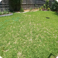 TruGreen Lawn Assessment Application